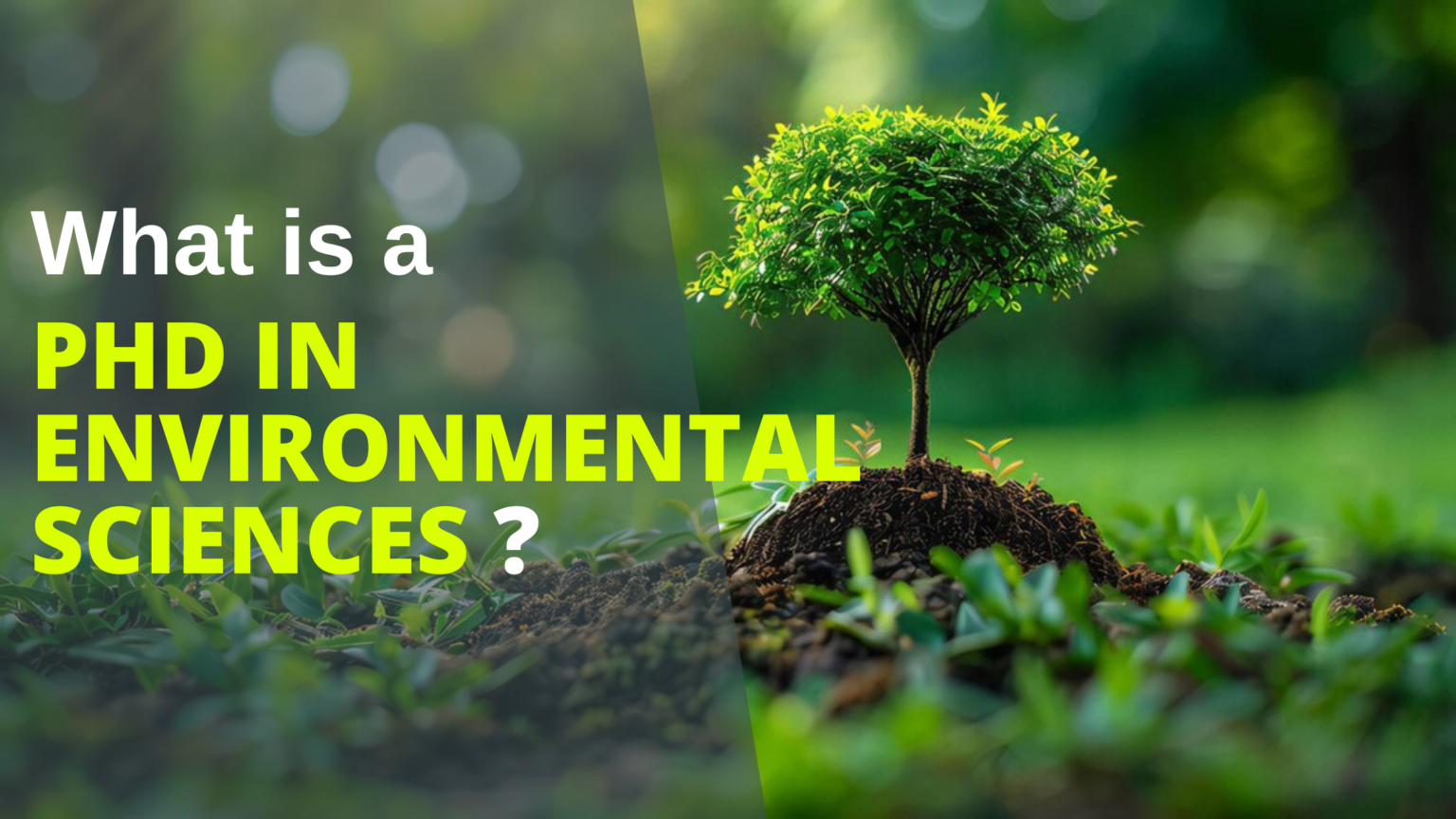 What is a PhD in Environmental Sciences - Phd Admission